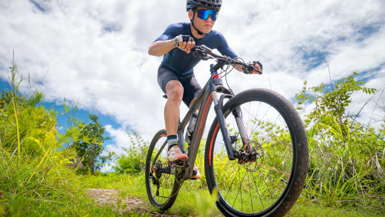 Best Mtb Wallpaper 4k: Highlighting Your Passion for Mountain Biking ...