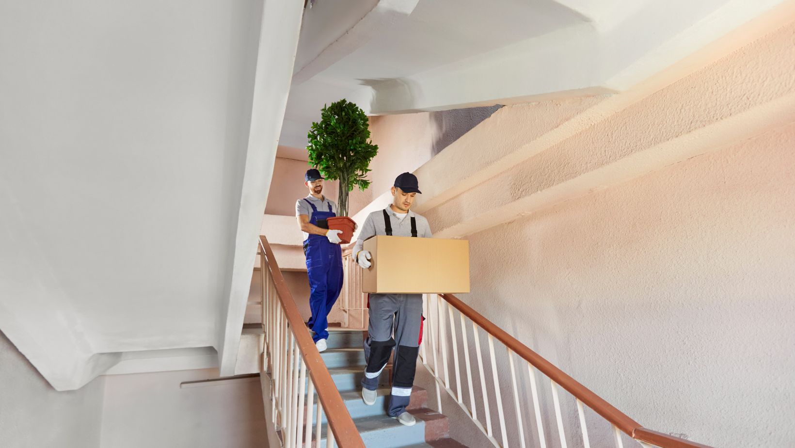 Mover Helper Job: Complete Guide to Starting Your Career in Moving ...