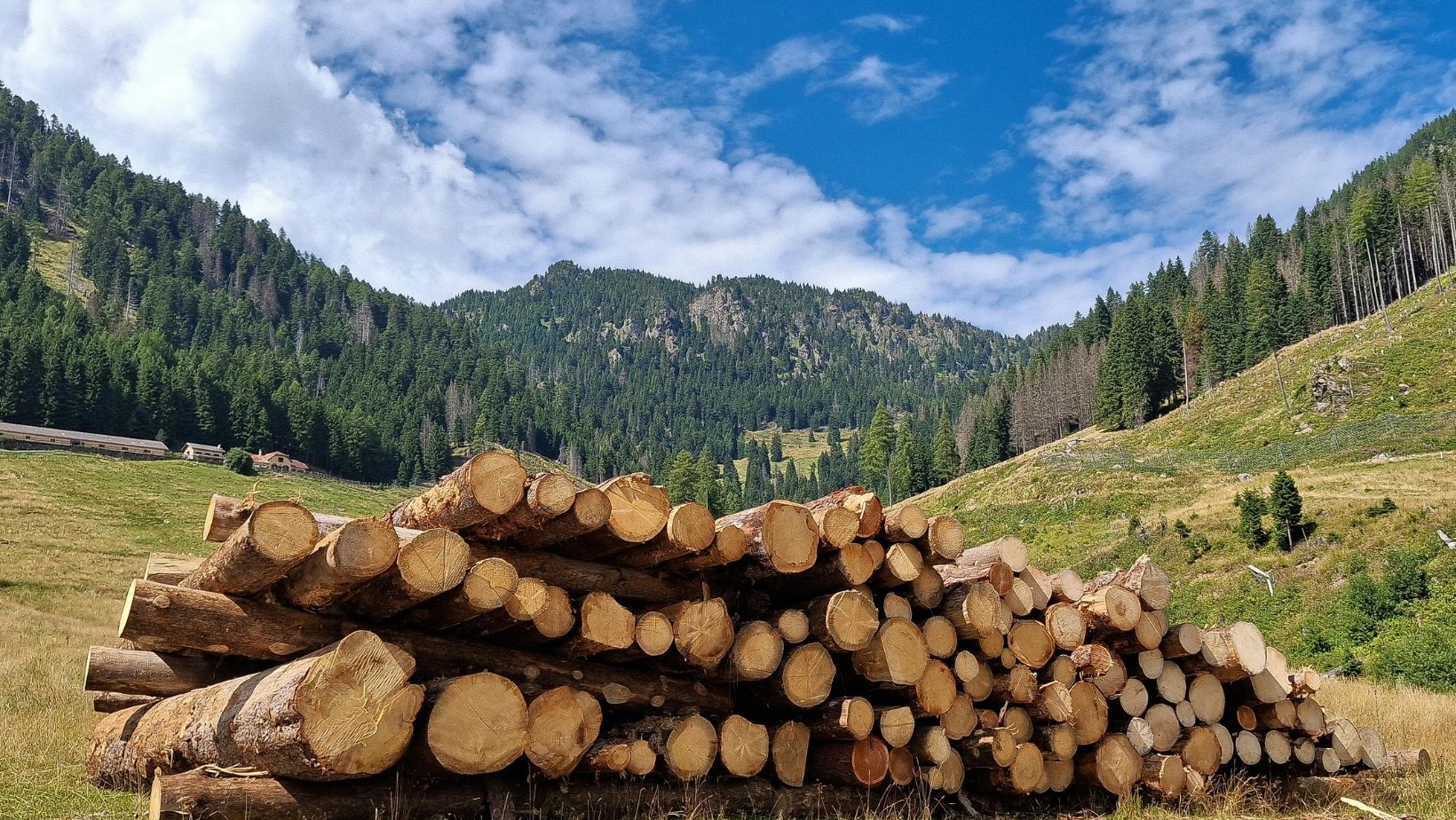 Why Timber Window Designs Are Making a Strong Comeback - The Home Trotters