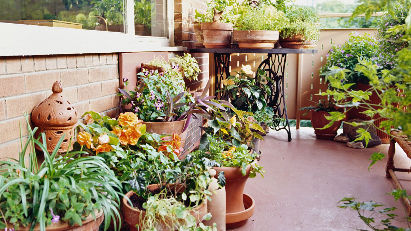 How a kitchen garden can enhance modern home design - Thehometrotters